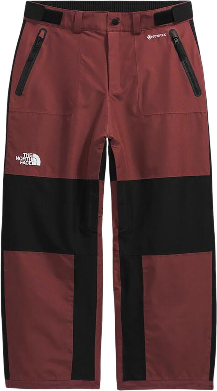 The North Face GORE-TEX Hex Pants - Men's | Altitude Sports